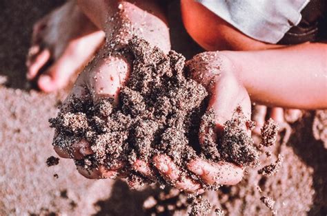 Premium Photo Close Up Of Person Holding Sand