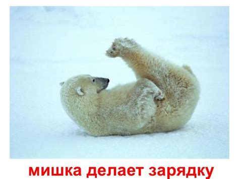 Прикольні картинки для презентації