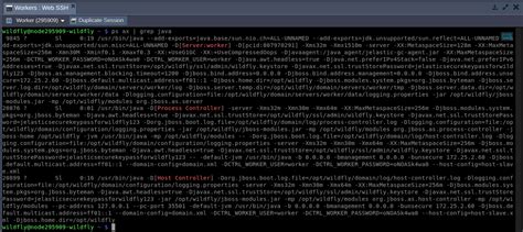 Wildfly Managed Domain In Containers Auto Micro Clustering And Scaling Virtuozzo