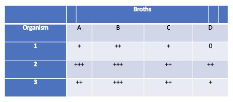Midterm Lab Practical Flashcards Quizlet Midterm Lab Practical Flashcards Quizlet
