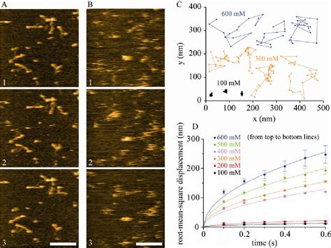Figure 1 From High Speed Atomic Force Microscopy Techniques For