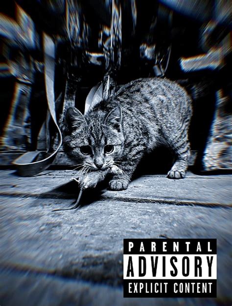 PARENTAL ADVISORY EXPLICIT CONTENT IFunny