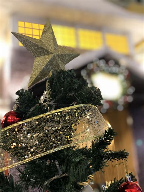 무료 이미지 크리스마스 장식 크리스마스 트리 크리스마스 이브 인테리어 디자인 행사 휴일 식물 전나무