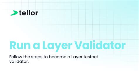 run a layer validator layer docs
