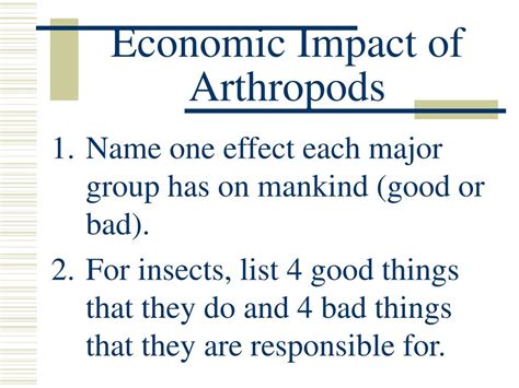 Ppt Arthropods Powerpoint Presentation Free Download Id176393