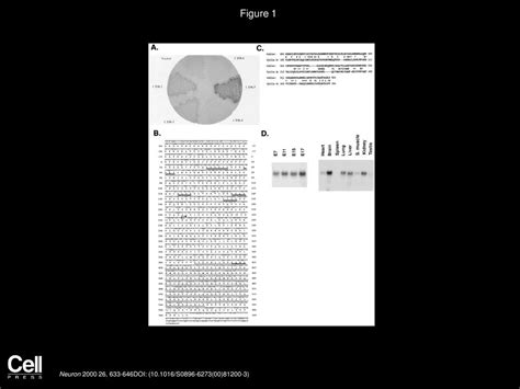 Volume 26 Issue 3 Pages June 2000 Ppt Download