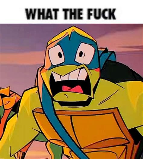 Shocked Teenage Mutant Turtles Leo Ninja Turtle Clothes Dont Make