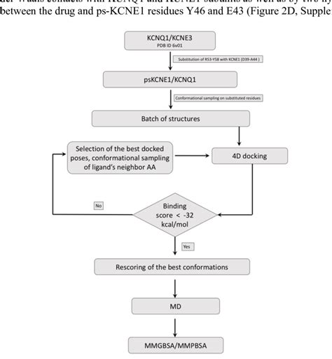 figure supplement 1 drug docking and md simulation workflow a