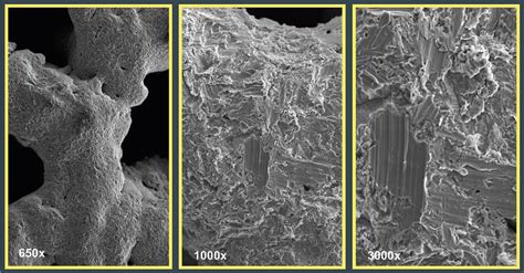 Enhancing Osseointegration The Role Of Matrix Mcd And Apatitic Abrasive Blasting In Titanium