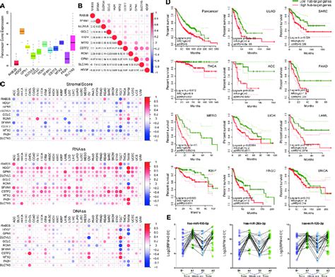 Correlation Of Hub Genes With Cancer Pathology And Prognosis A