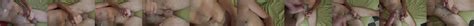 Two Big Uncut Cocks Frotting Each Other Till Explosion Xhamster