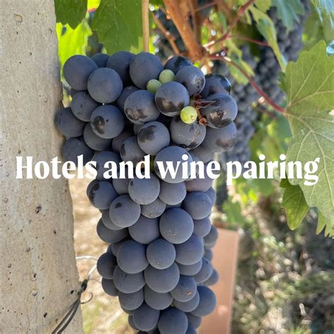 Marcella Branca On Linkedin Enoturismo Luxurytravel Wine Italianwineries Italianwines