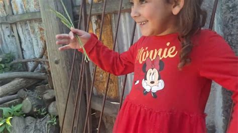 Peri Babka Sara A Nati Youtube