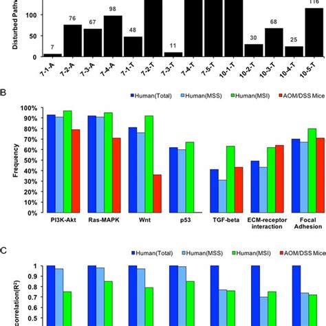 Landscape Of Disturbed Pathways In Aom Dss Mouse Model And Its Download Scientific Diagram