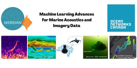 Meridianonc Webinar On Machine Learning For Acoustic And Imagery Data