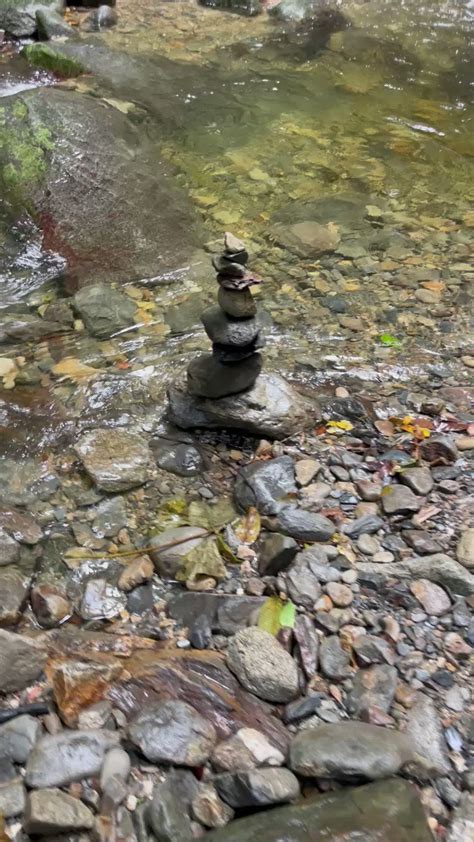 Codey Mathis Codeymathis Twitter