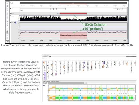 Copy Number Variation Cnv Analysis A Guide For Clinical Researchers