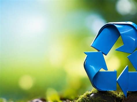 Premium Photo A Blue Recycle Symbol Is Placed On A Tree Branch