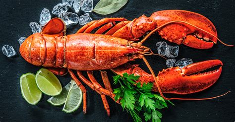 Lobster Recipe By Marini S