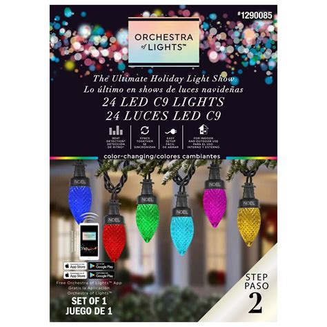 Programmable C9 Led Christmas Lights Shelly Lighting