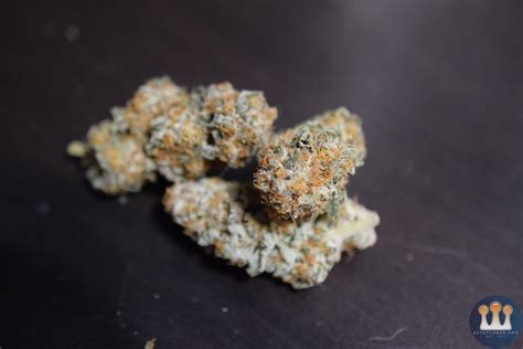 Cloud Candy 2 The Autoflower Network