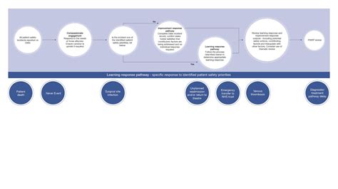 Patient Safety Incident Response Framework