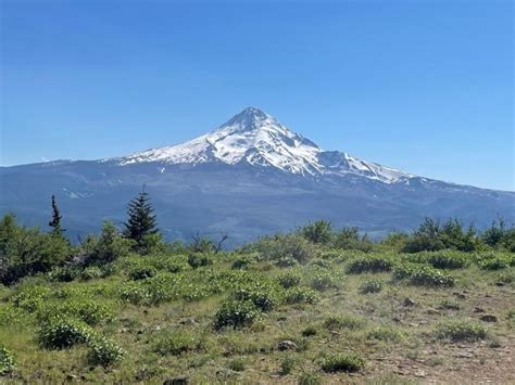 Oak Ridge Trail Gravel Climb