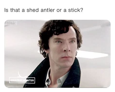 Is That A Shed Antler Or A Stick Okayest Hunter Memes