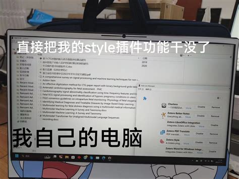 两个不同的电脑，一个zotero Style能正常使用，一个不能 · Issue 481 · Muisedestinyzotero
