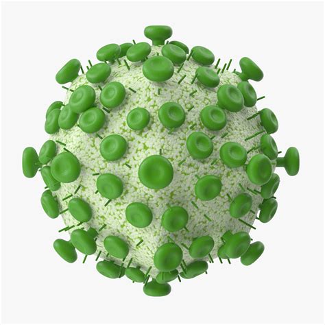 13 Viruses Virus 3d Model