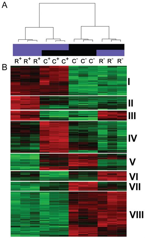 Unsupervised Hierarchical Clustering Of Serotonergic Gene Expression A