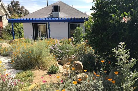 See How 3 California Gardens Hit The Mark With Native Plants