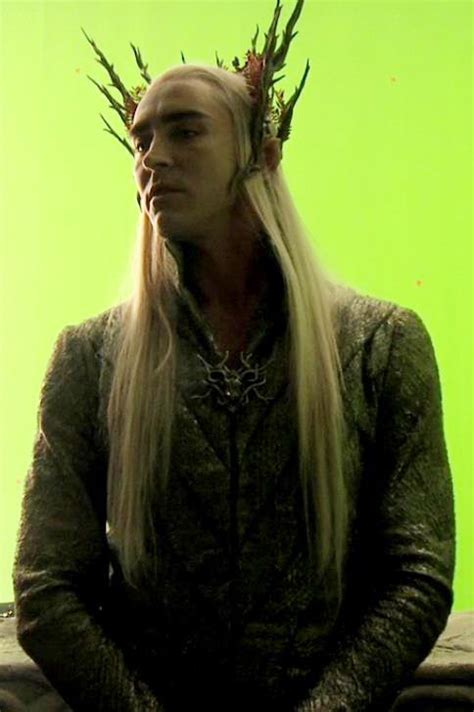 On This Blog We Worship Thranduil Thranduil Legolas And Thranduil
