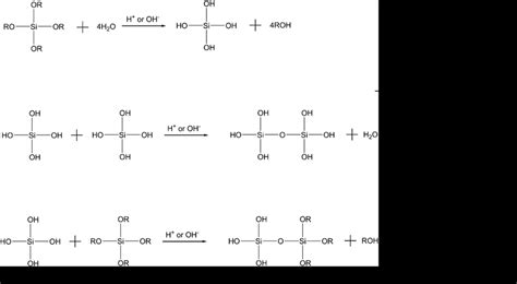 The A Hydrolysis And B Condensation Reactions Of A Silicon Download Scientific Diagram