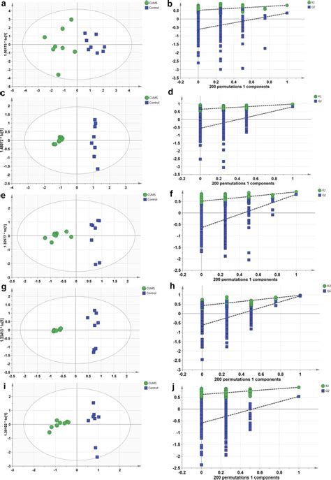 Opls Scores And Permutation Tests Of The Opls Da Models Serum A B Download Scientific