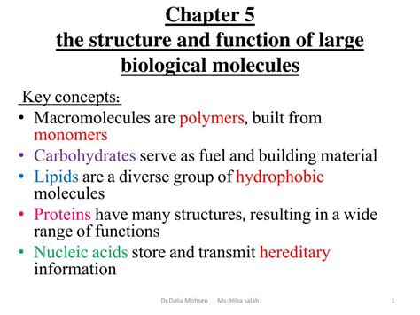 PPT Chapter 5 The Structure And Function Of Large Biological