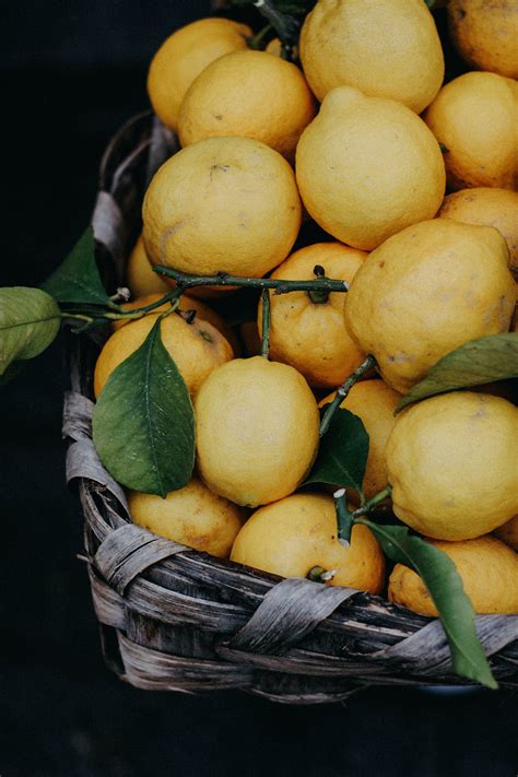 Adriatic Food About Us