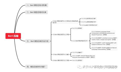 Bert 如何蒸馏，剪枝，压缩？你们都知道？ 知乎