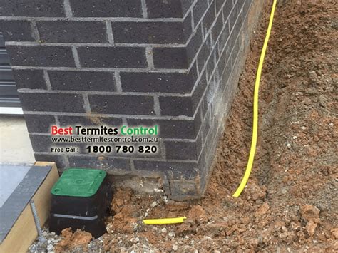 Termites Control News Best Termites Control