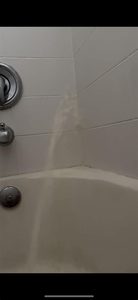Morning Piss Morning Pees Are The Most Golden Pees Rpee