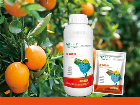 产品展厅 河南秋之果生态农业科技有限公司
