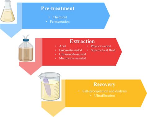 General Procedure For Collagen Extraction Download Scientific Diagram