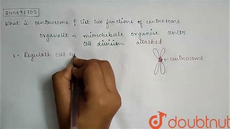 What Is Centrosome List Two Functions Of Centrosome Class 9 The Fundamental Unit Of Life