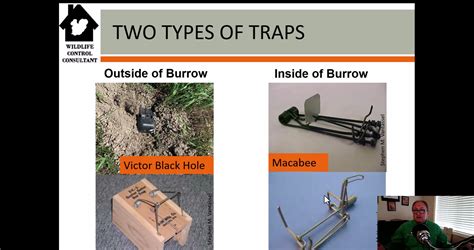 Introduction To The GopherHawk Pocket Gopher Trap