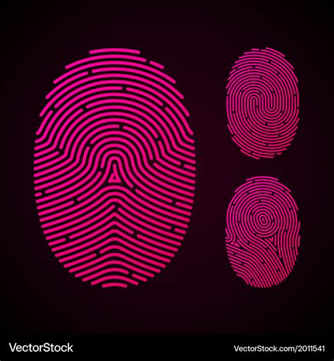 Types Fingerprint Patterns Royalty Free Vector Image