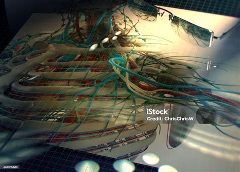 스캔 또는 이미징 신체 또는 의료 검사 절차 또는 테스트 결과 대 한 해부학의 접시 0명에 대한 스톡 사진 및 기타 이미지