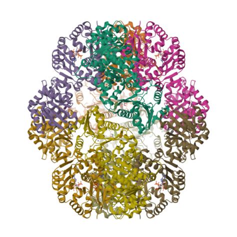 RCSB PDB RTB Crystal Structure Of Tm A Fusion Of A Domain Of Unknown Function And ADP