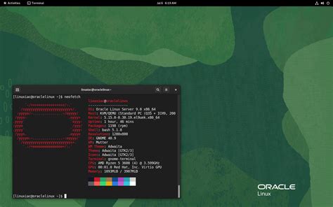 oracle linux 9 is here with unbreakable enterprise kernel release 7