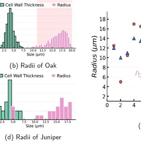 Predictions Of Morphology And Effective Refractive Index A Predicted Download Scientific