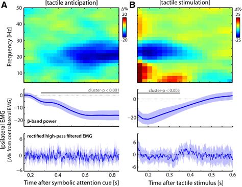 Figure 2 From Somatosensory Demands Modulate Muscular Beta Oscillations Independent Of Motor